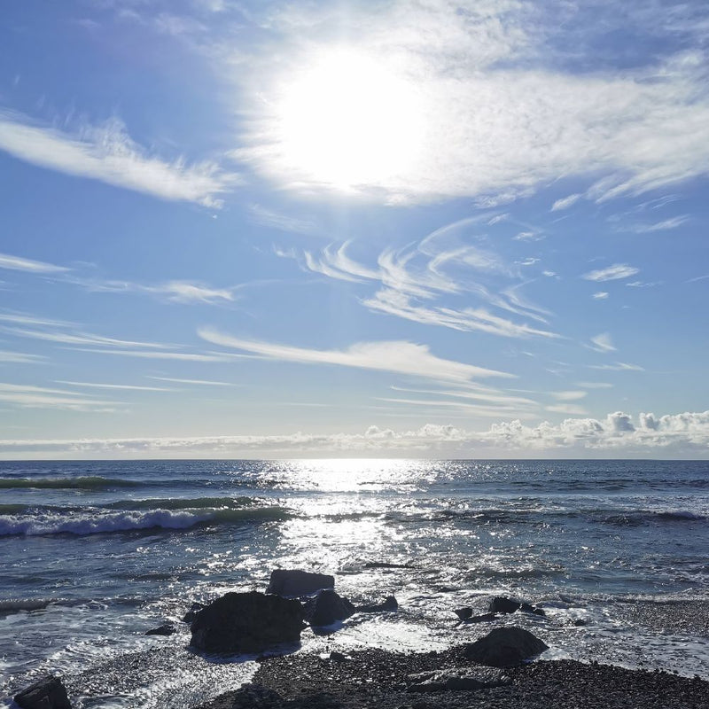 Learn Māori | Te Reo Māori Courses and Lessons | Reo Māori Mai